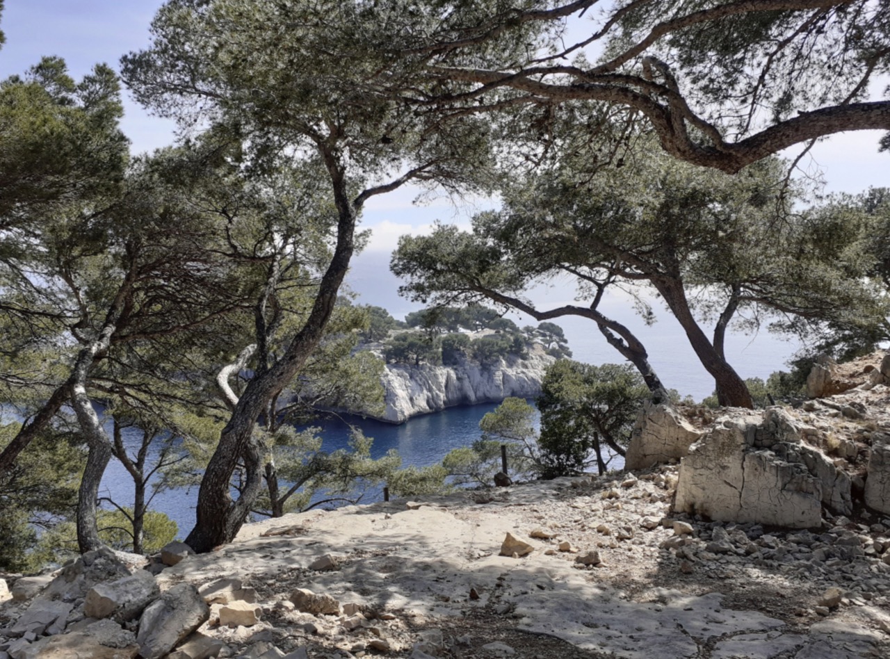 Niet te missen: de calanques van Cassis (Bouches-du-Rhône)